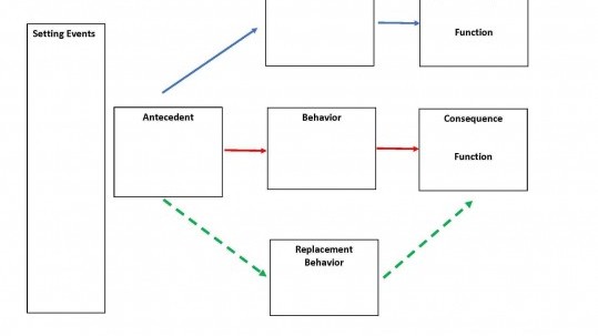 Competing Pathways - The Teacher Toolkit